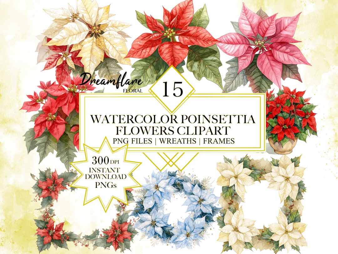 Watercolor Poinsettia Flowers Clipart Bundle, Winter, Plants PNG ...