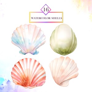 Watercolor Sea Shells Clipart Bundle, Seashells Clipart, Clam PNG ...