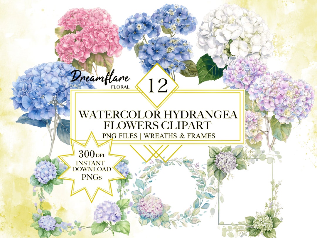Watercolor Hydrangea Flowers Clipart Bundle, Hydrangea Clipart ...
