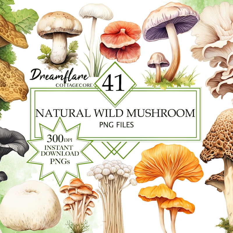 Mushroom Clipart - Etsy