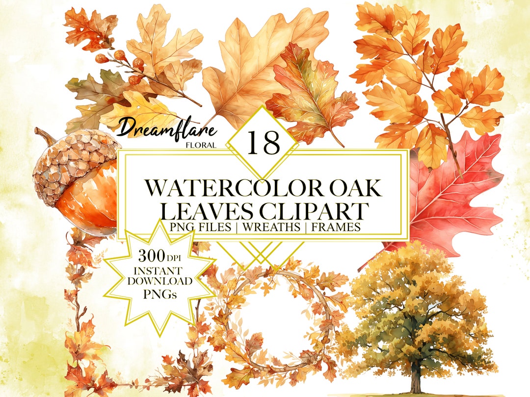 Watercolor Oak Leaves Clipart Bundle, Fall Leaves PNG, Leaves PNG ...