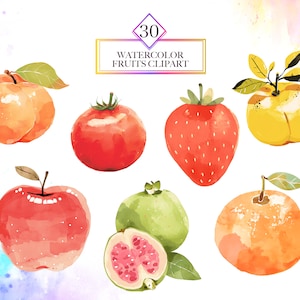 Watercolor Fruits PNG Clipart Bundle, Back to School Clipart, Fruits ...