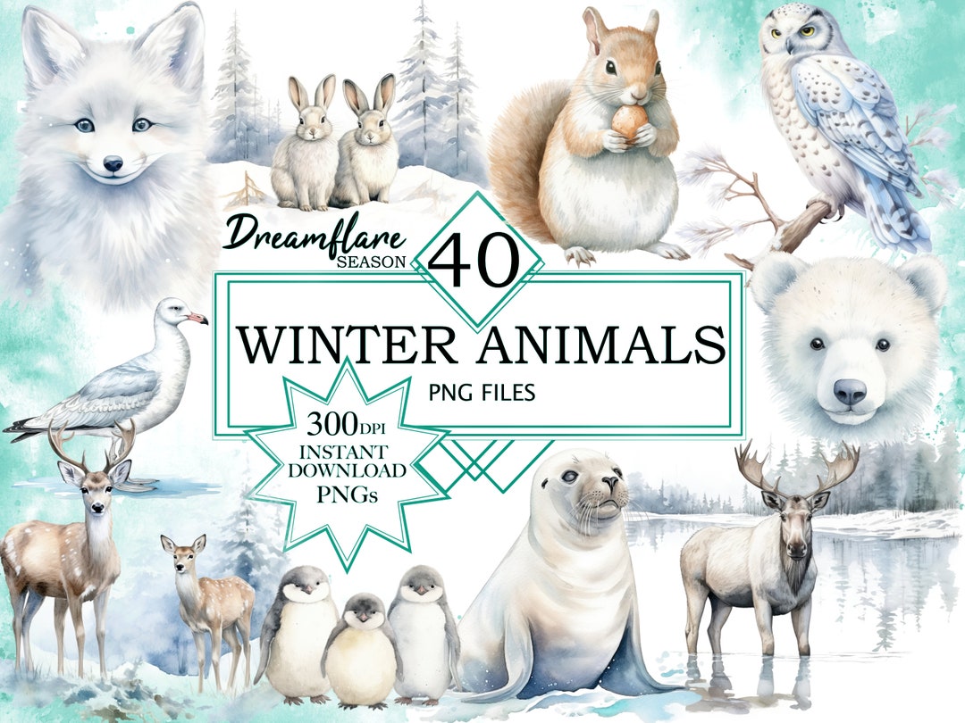 40 Watercolor Winter Animals Clipart, Winter Clipart, Winter Season PNG ...