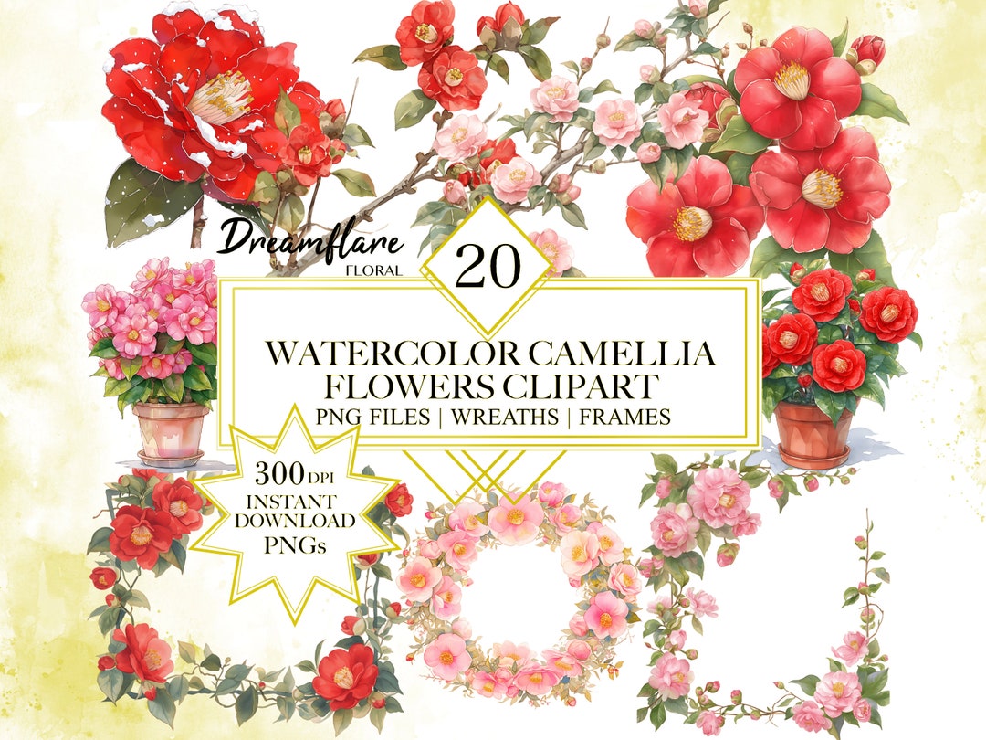 Watercolor Camellia Flowers Clipart Bundle, Camellia Flower, Winter ...