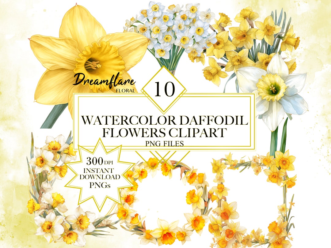 Watercolor Daffodil Flowers Clipart Bundle, Spring Flowers Clipart ...