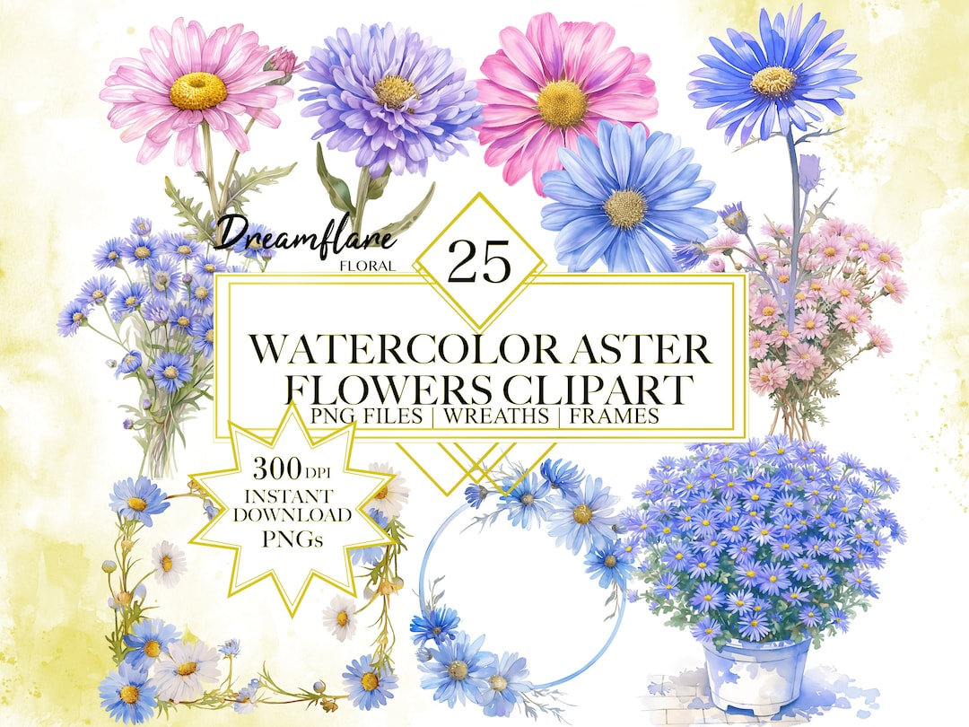 Watercolor Aster Flowers Clipart Bundle, Fall Flowers PNG, Wildflowers ...