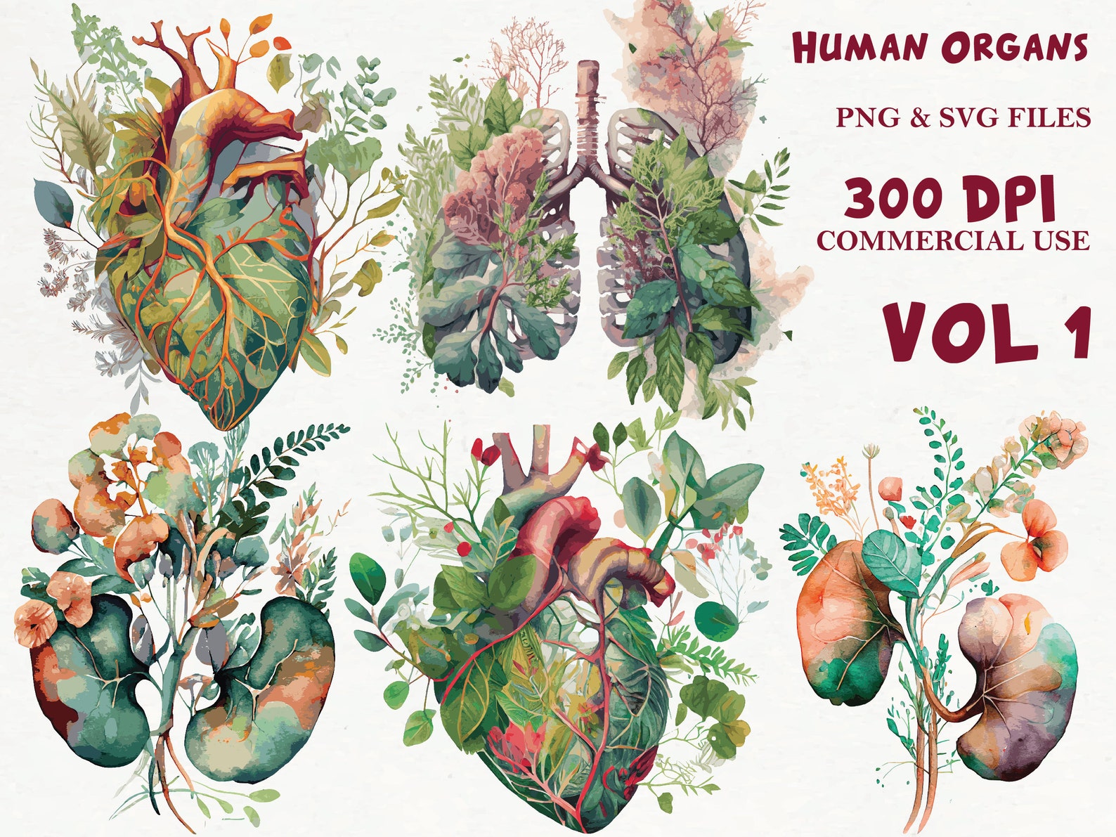 Floral Human Organs Heart Brain Kidney Lungs PNG and SVG - Etsy
