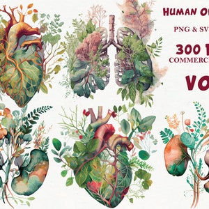 Floral Human Organs, Heart, Brain, Kidney, Lungs PNG and SVG, Medical ...
