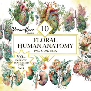 Floral Human Organs, Heart, Brain, Kidney, Lungs PNG and SVG, Medical ...