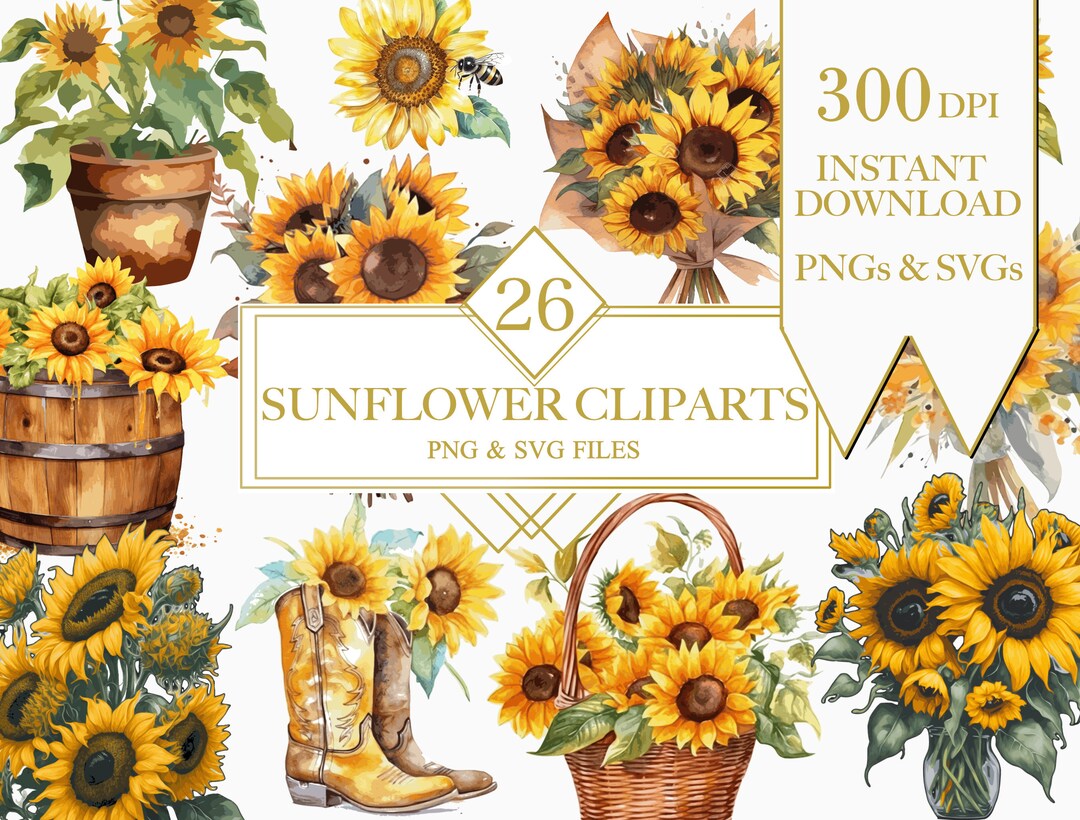 Watercolor Sunflower Clipart Bundle, PNG & SVG, Sunflower SVG, Floral ...