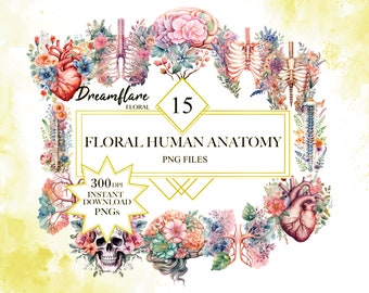 Watercolor Pancreas Anatomy Art Internal Organs Painting - Etsy