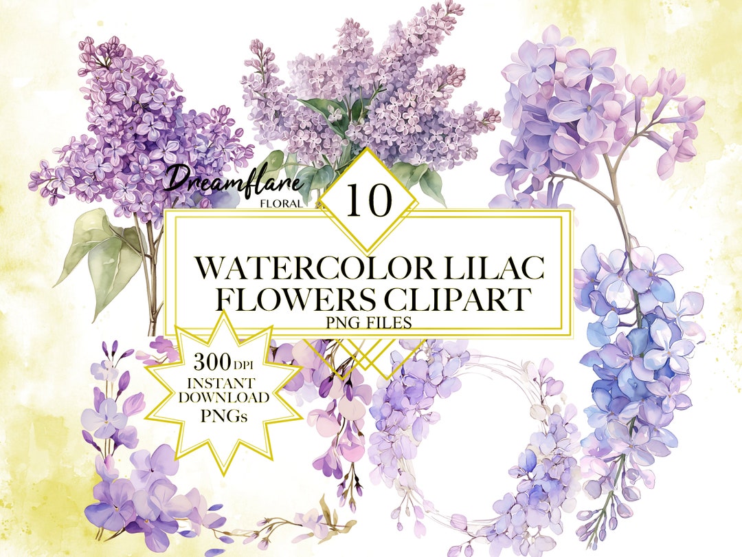Watercolor Lilac Flowers Clipart Bundle, Spring Flowers Clipart, Lilac ...