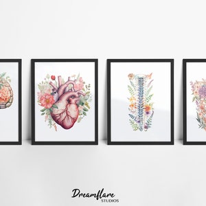 Anatomy Clipart, Floral Human Organs, Heart, Brain, Kidney, Lungs PNG ...