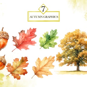 Watercolor Oak Leaves Clipart Bundle, Fall Leaves PNG, Leaves PNG ...