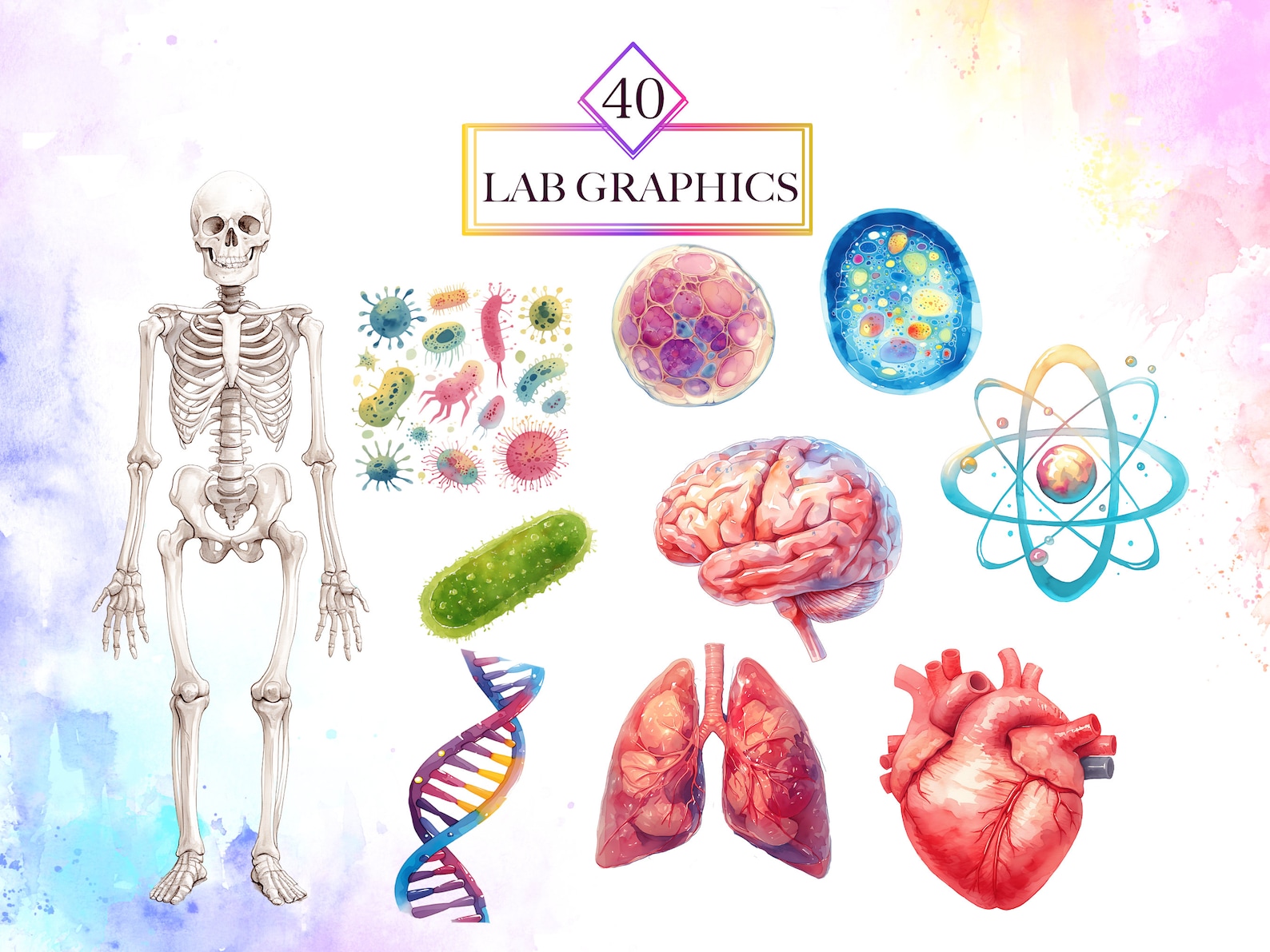 Watercolor Science Clipart Bundle, Laboratory Clipart, Biology PNG ...