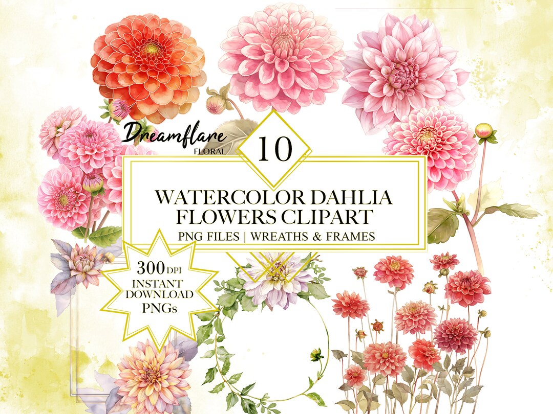 Watercolor Dahlia Flowers Clipart Bundle, Dahlia Clipart, Wildflowers ...