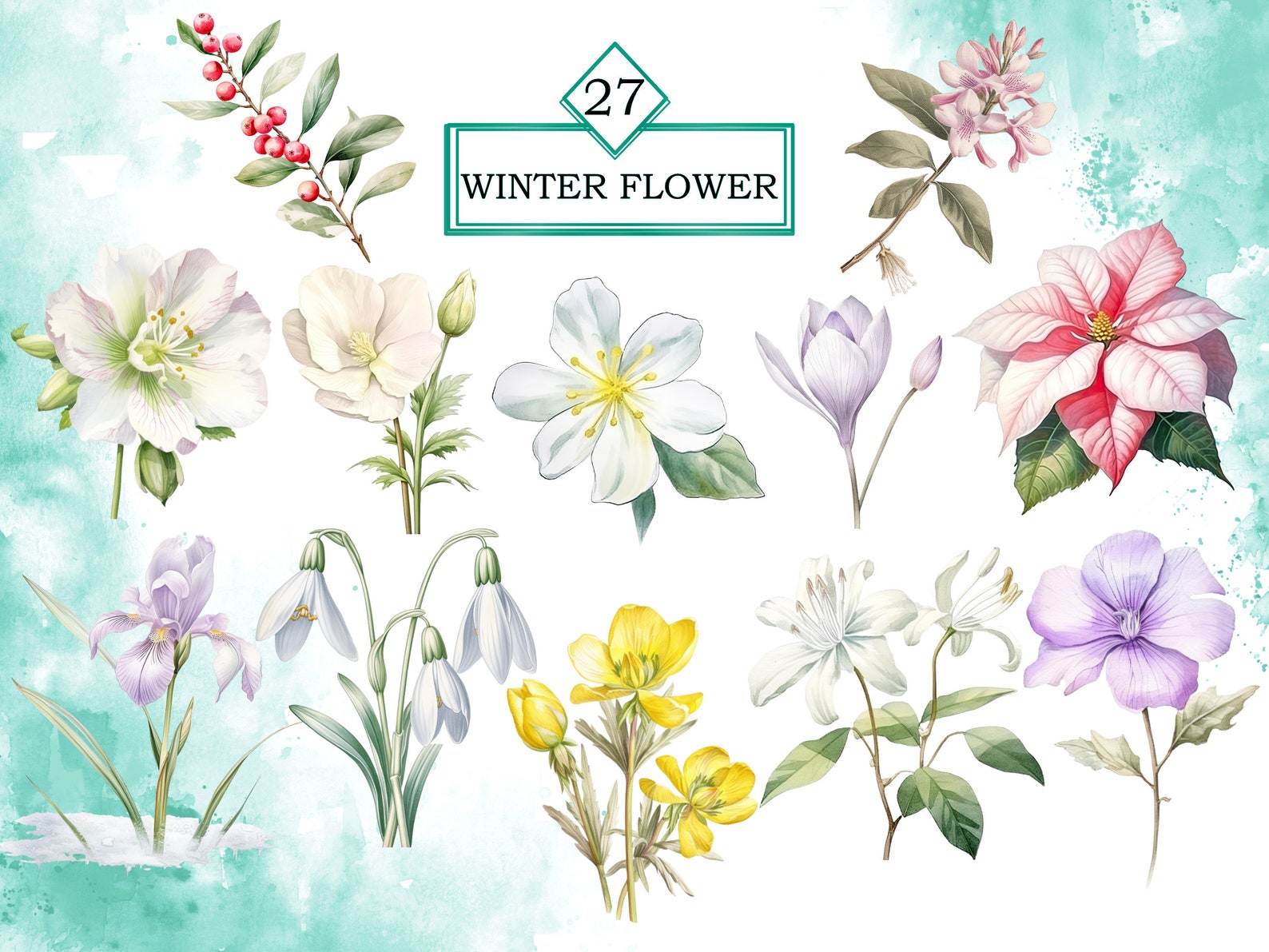 48 Watercolor Winter Flowers Clipart, Floral Clipart, Flowers PNG ...