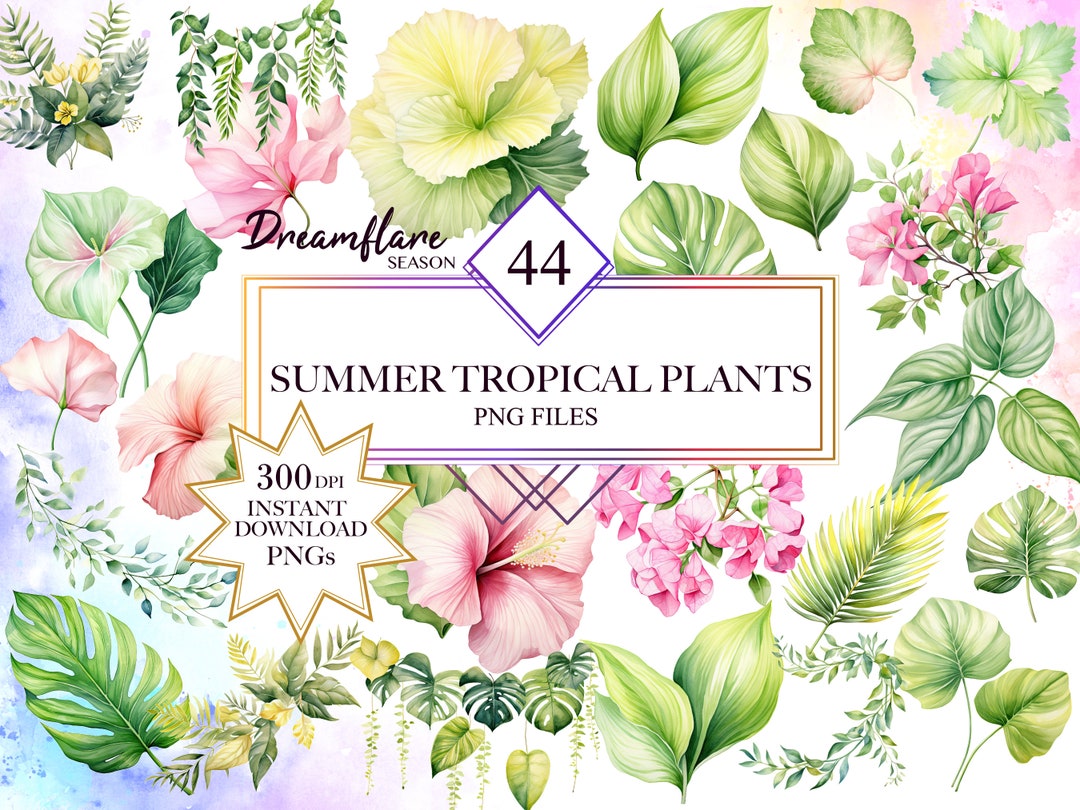 Watercolor Tropical Plants, Summer Clipart, Floral Clipart, Foliage ...