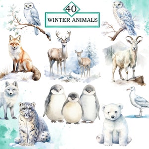 40 Watercolor Winter Animals Clipart, Winter Clipart, Winter Season PNG ...