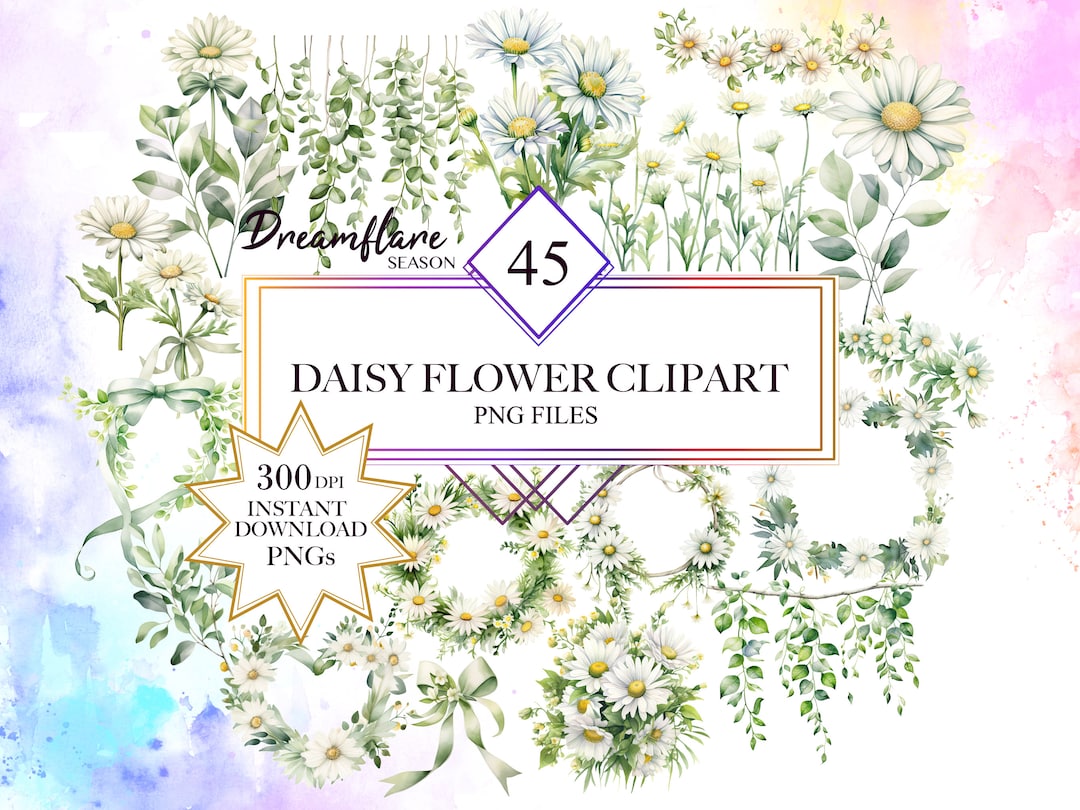 Watercolor Daisy Flowers, Daisies Clipart Bundle, Botanical Plants Pngs ...