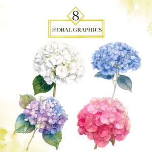 Watercolor Hydrangea Flowers Clipart Bundle, Hydrangea Clipart ...
