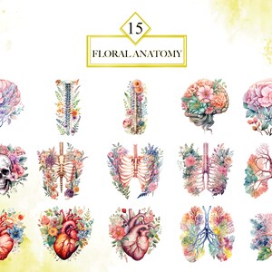 Anatomy Clipart, Floral Human Organs, Heart, Brain, Kidney, Lungs PNG ...
