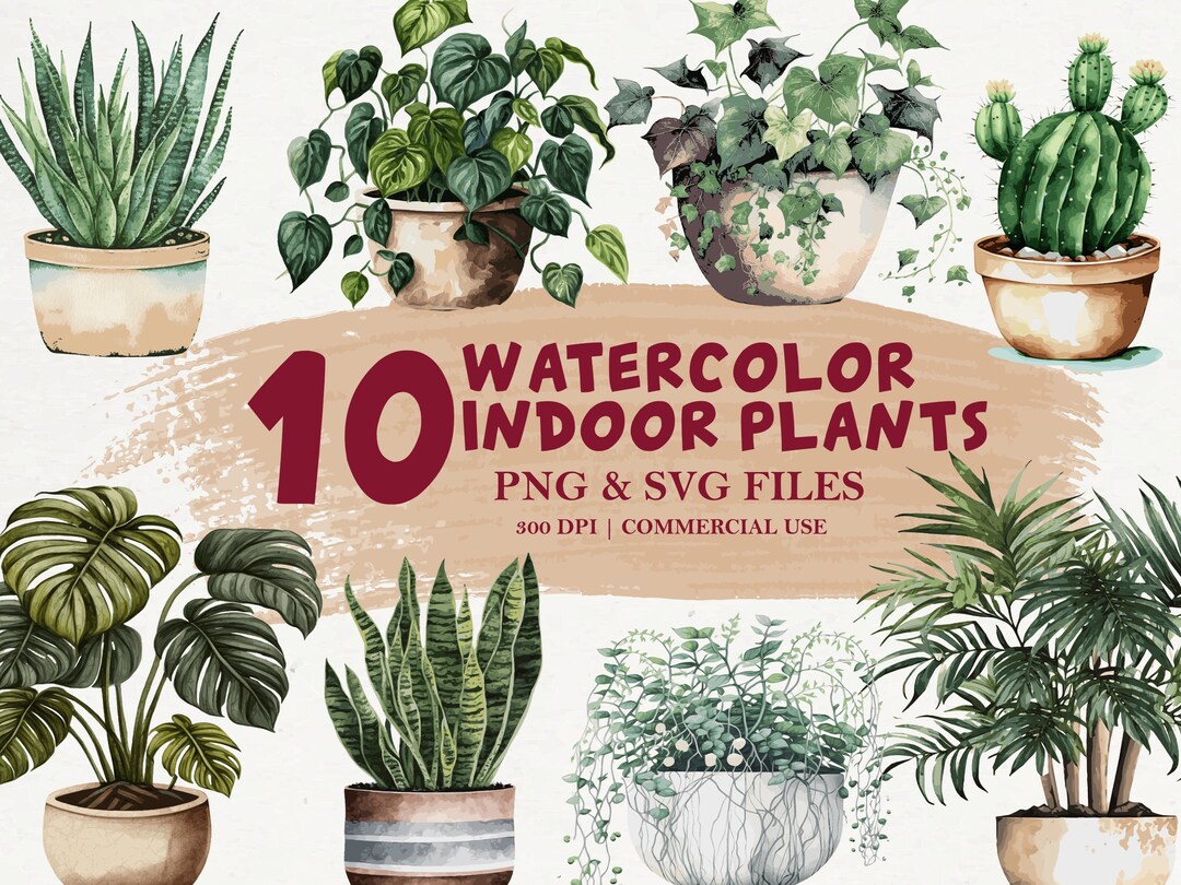 Watercolor Indoor Plants Clipart Bundle, PNG & SVG, Monstera Plant SVG ...