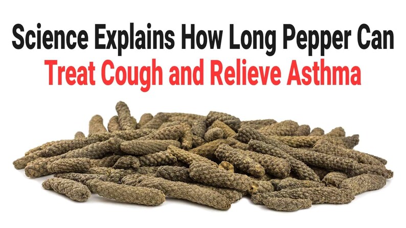Long Pepper, Piper Longum, Pipali, Pippali, Peepali Indian Organic and ...