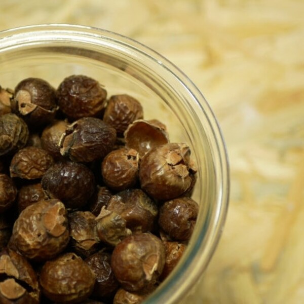 Indian Soap Berries - Etsy