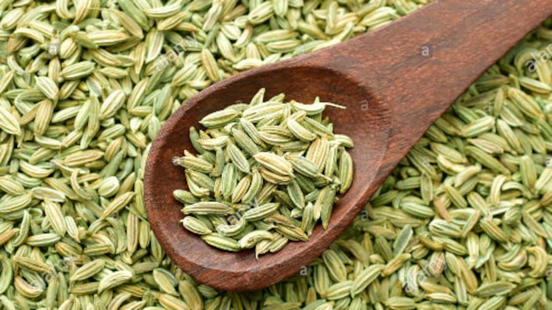 Fennel Seed Foeniculum Vulgare Saunf Sonf Indian Organic - Etsy