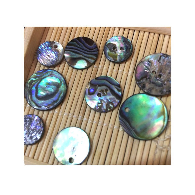 Abalone Buttons - Etsy