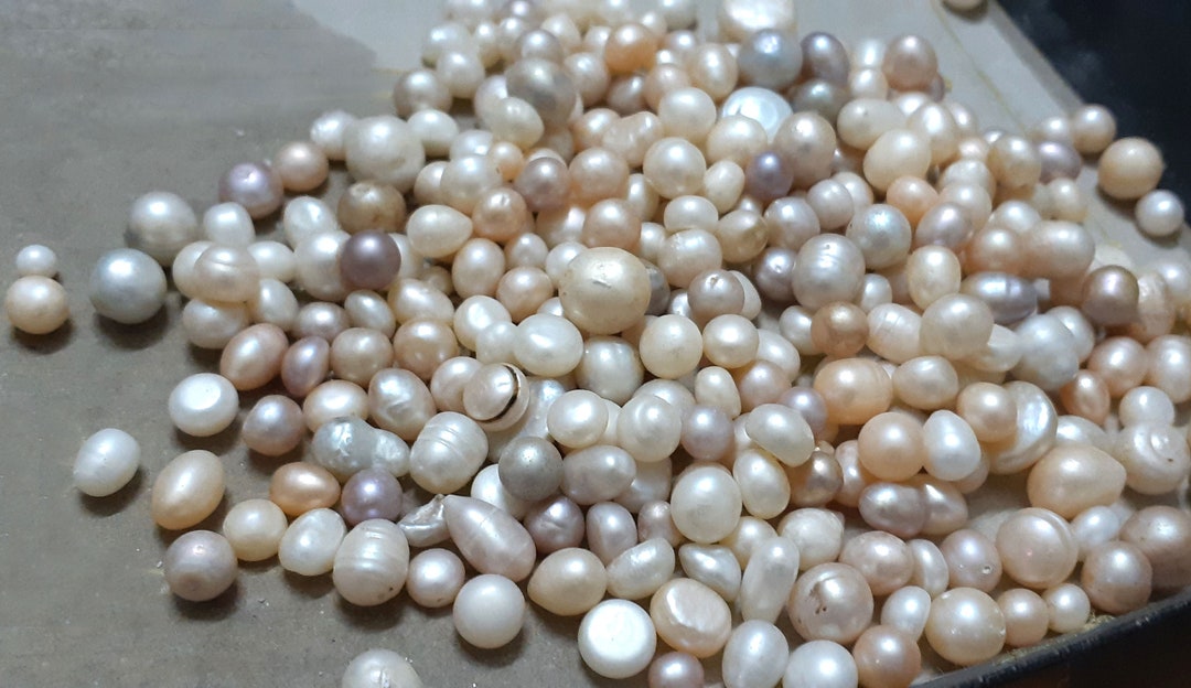 5-22mm Pearls, Assorted Pearl, No Hole, Cultured Pearl, Loose Pearl ...