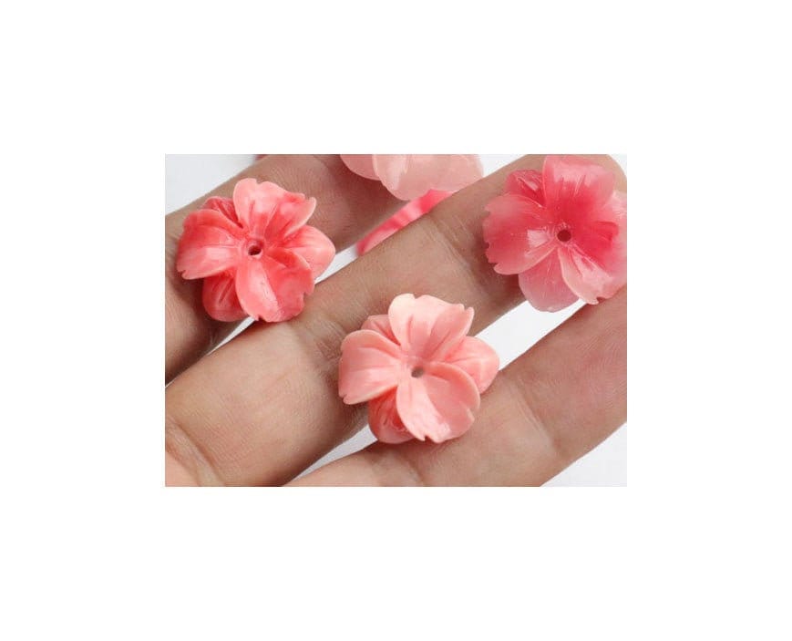 5pcs 20mm Natural Queen Conch Shell Flower Cabochonslarge - Etsy