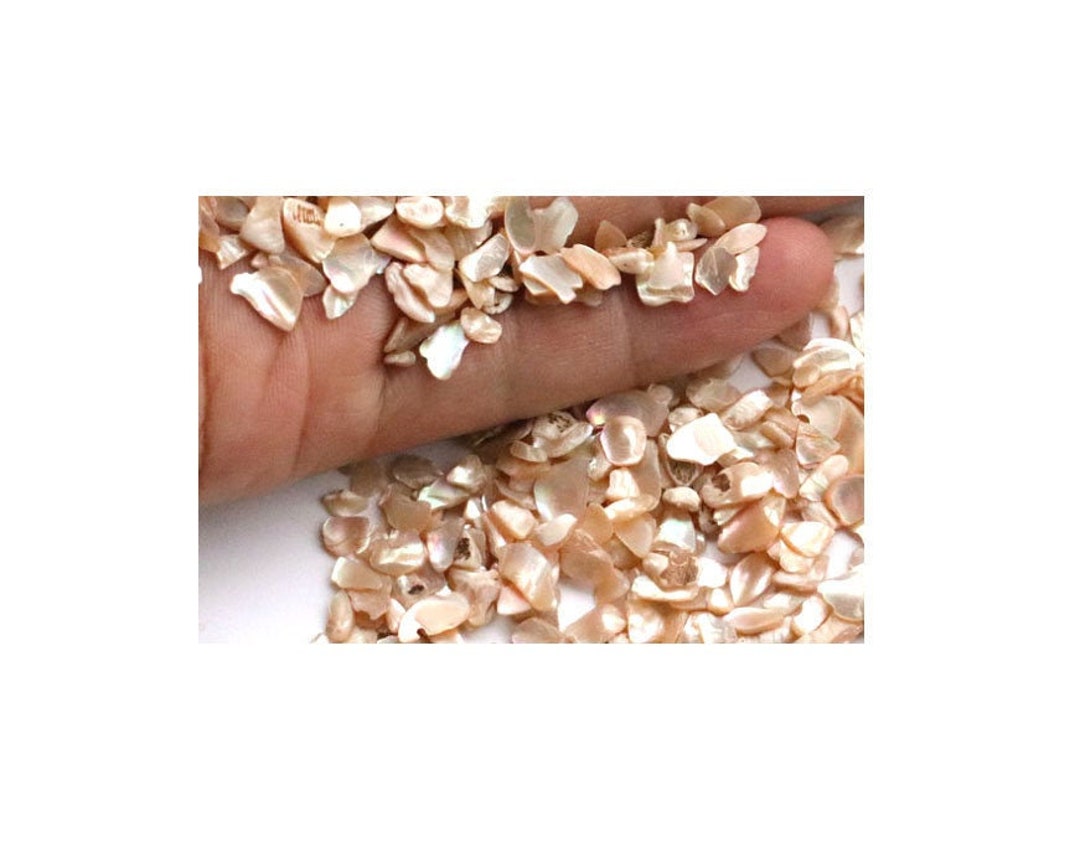 Undrilled Raw Natural MOP Shell Irregular Chips for Jewelry Making ...