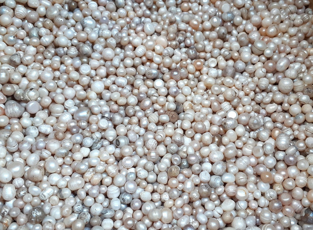 4-20mm Rough Pearls, Loose Natural Pearls, No Hole, Rare Pearls, Not ...