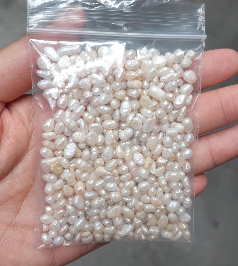 2-5mm Seed Pearls, Undrilled, White Freshwater Pearls, Tiny Pearls ...