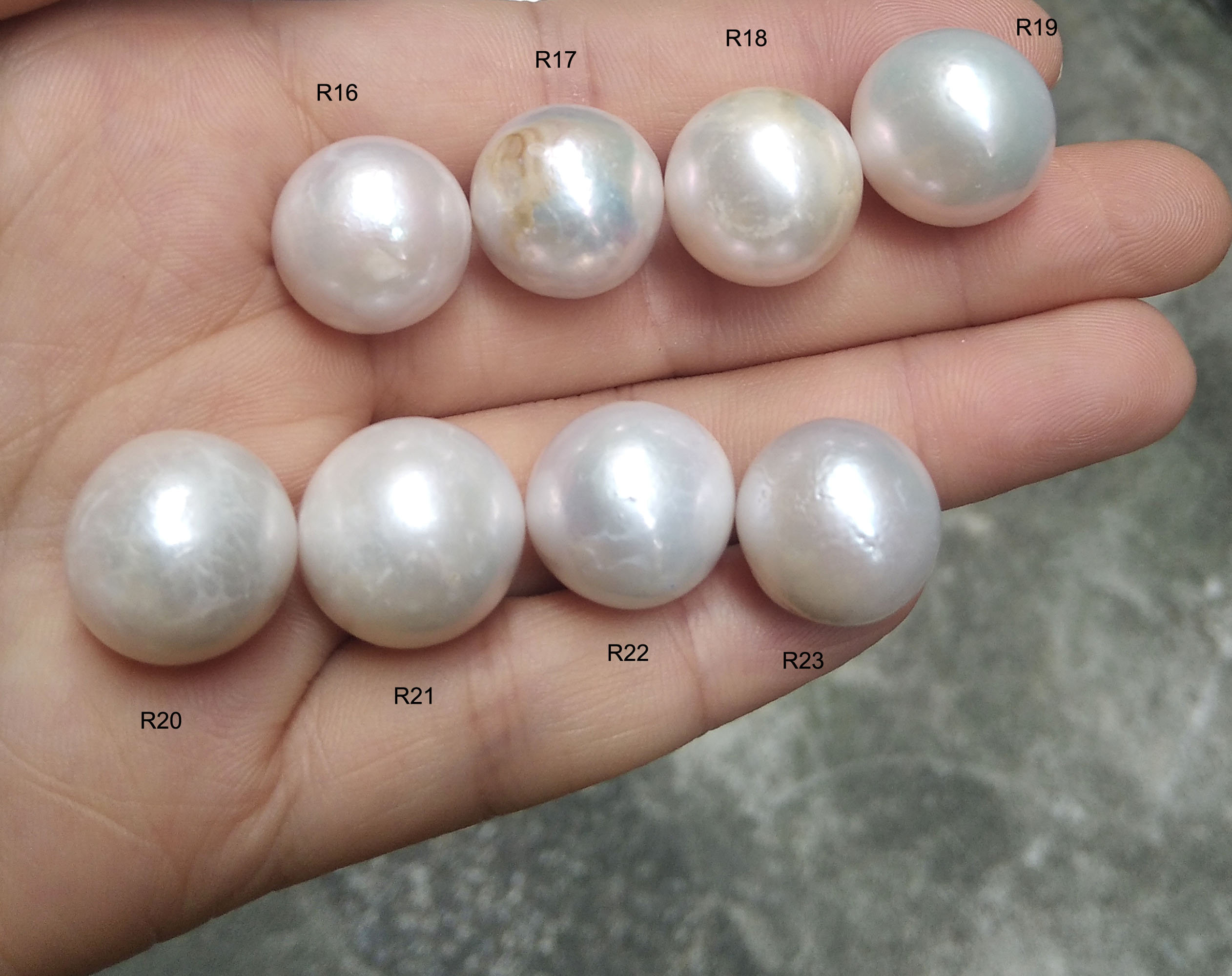 14-16mm Large Edison Pearls Natural White Pearls off Round - Etsy