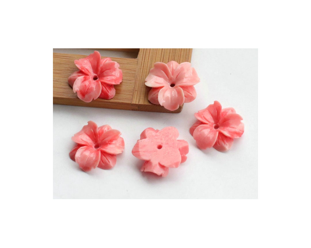 5pcs 20mm Natural Queen Conch Shell Flower Cabochonslarge - Etsy