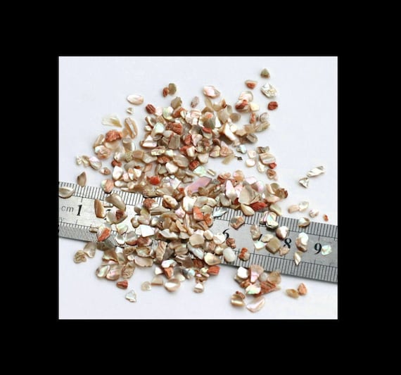 100 Pieces of Red Tumbled Abalone/ Paua Shell Tiny GB755 | Etsy
