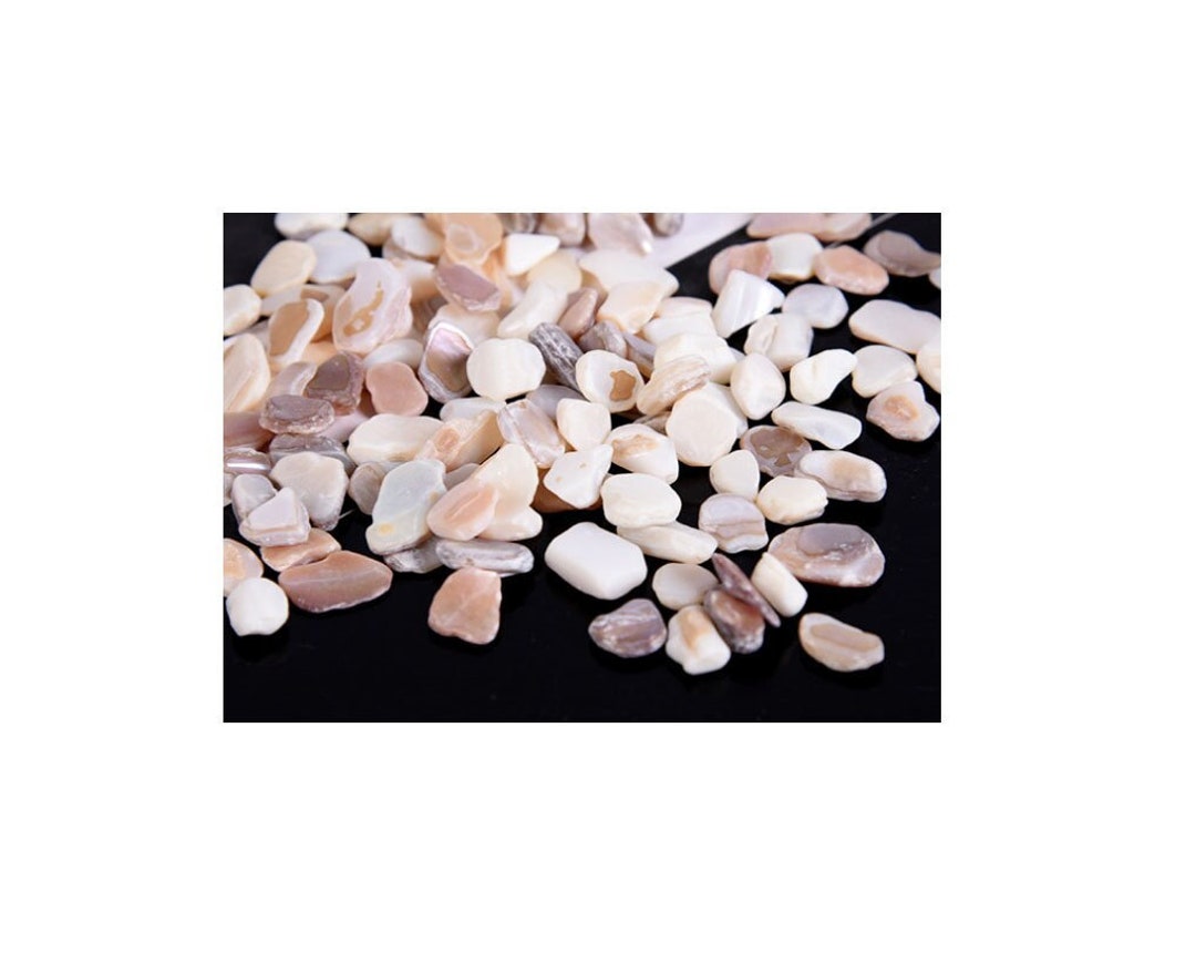 Natural Freshwater Shell Chips, Undrilled, No Holes, Shell Nugget 50g ...