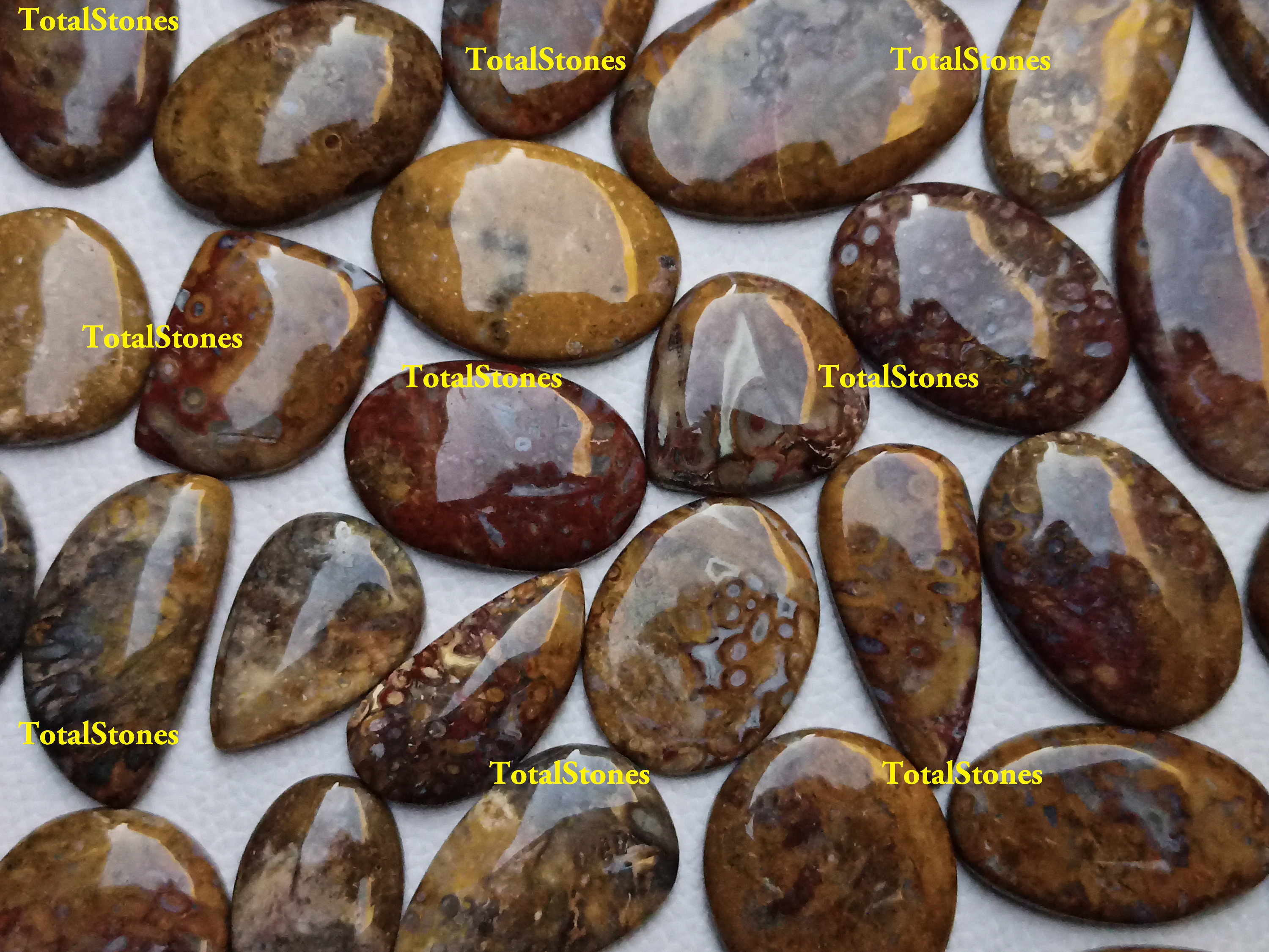 Palm Root Agate Cabochon . 20to40mm . Mix-Size Stone . | Etsy