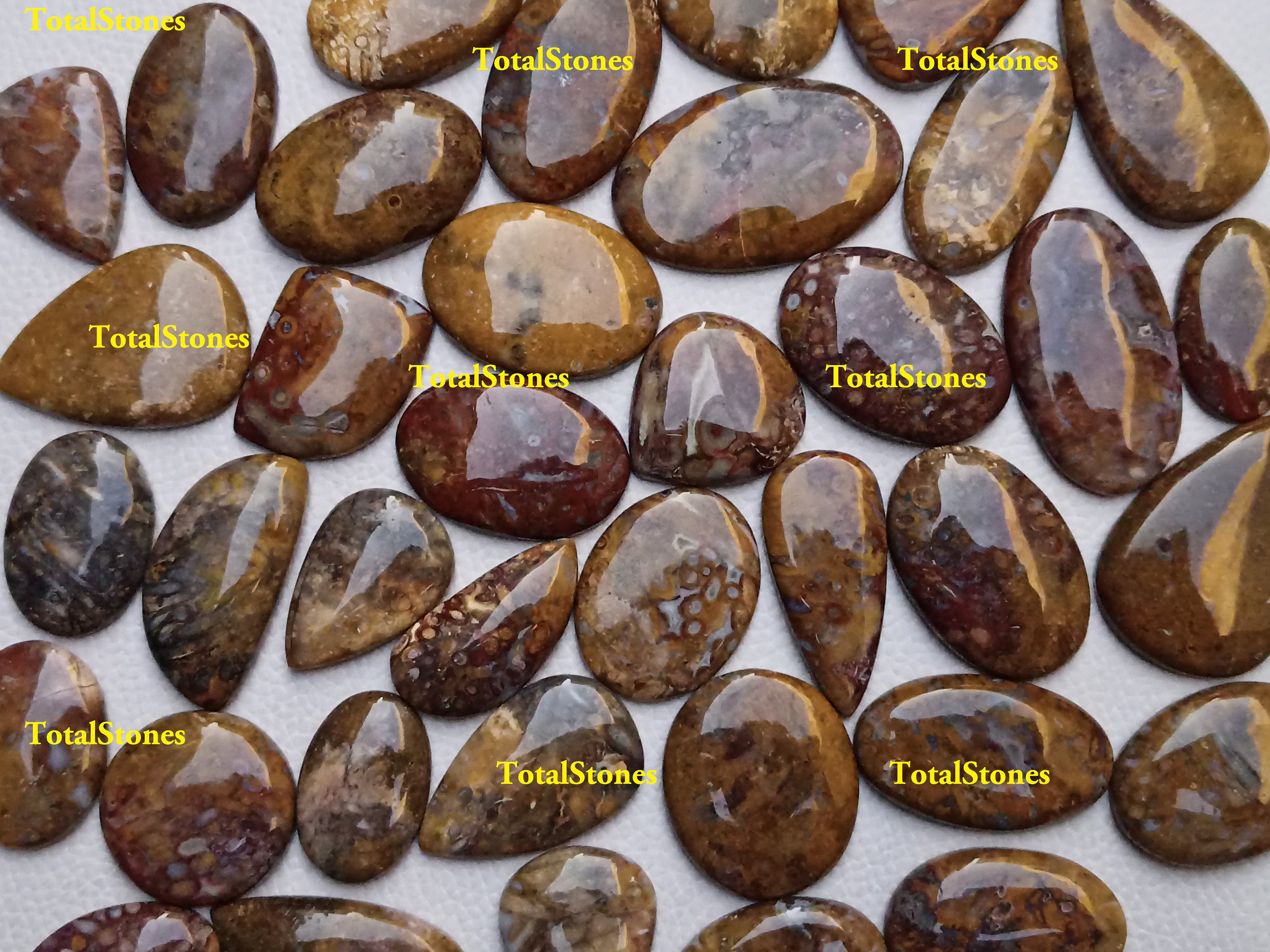 Palm Root Agate Cabochon . 20to40mm . Mix-Size Stone . | Etsy