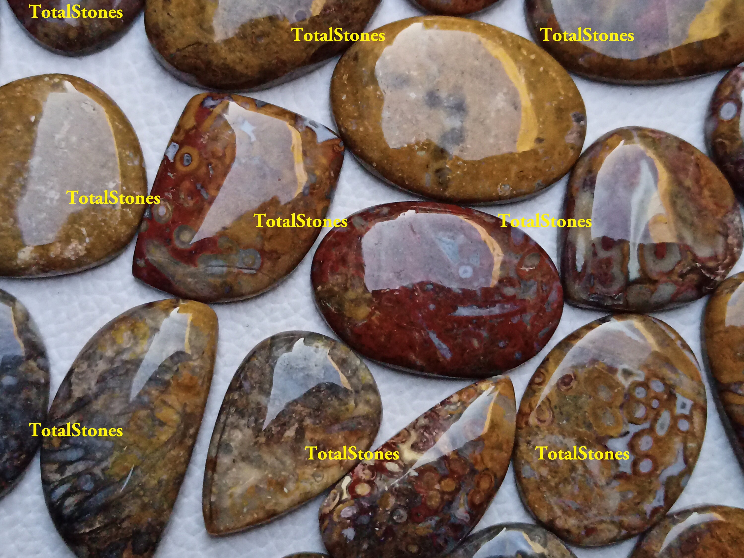 Palm Root Agate Cabochon . 20to40mm . Mix-Size Stone . | Etsy