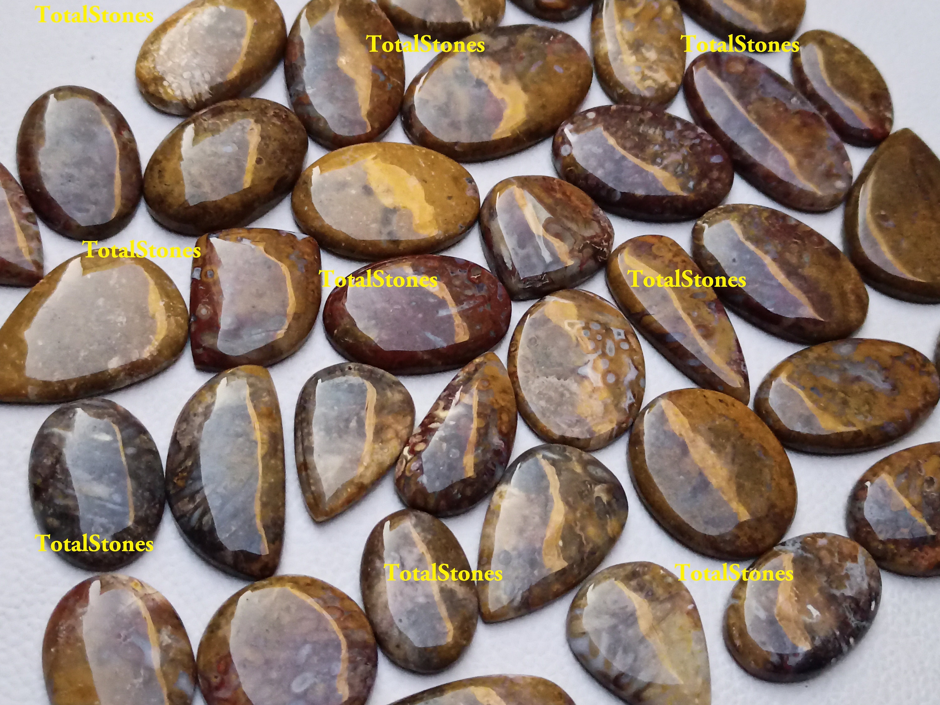 Palm Root Agate Cabochon . 20to40mm . Mix-size Stone . - Etsy