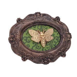 Moth, Moth Macabre , Gothic Picture ,death Head Moth, Framed Death Head ...
