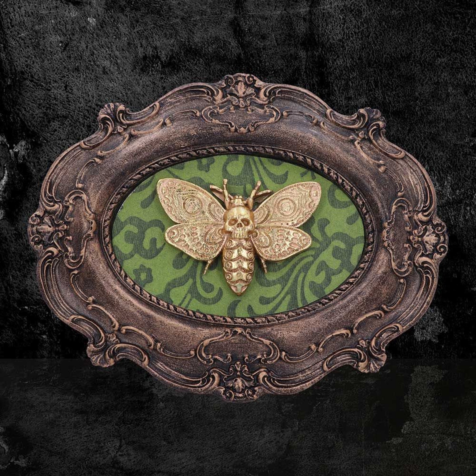 Moth, Moth Macabre , Gothic Picture ,death Head Moth, Framed Death Head ...