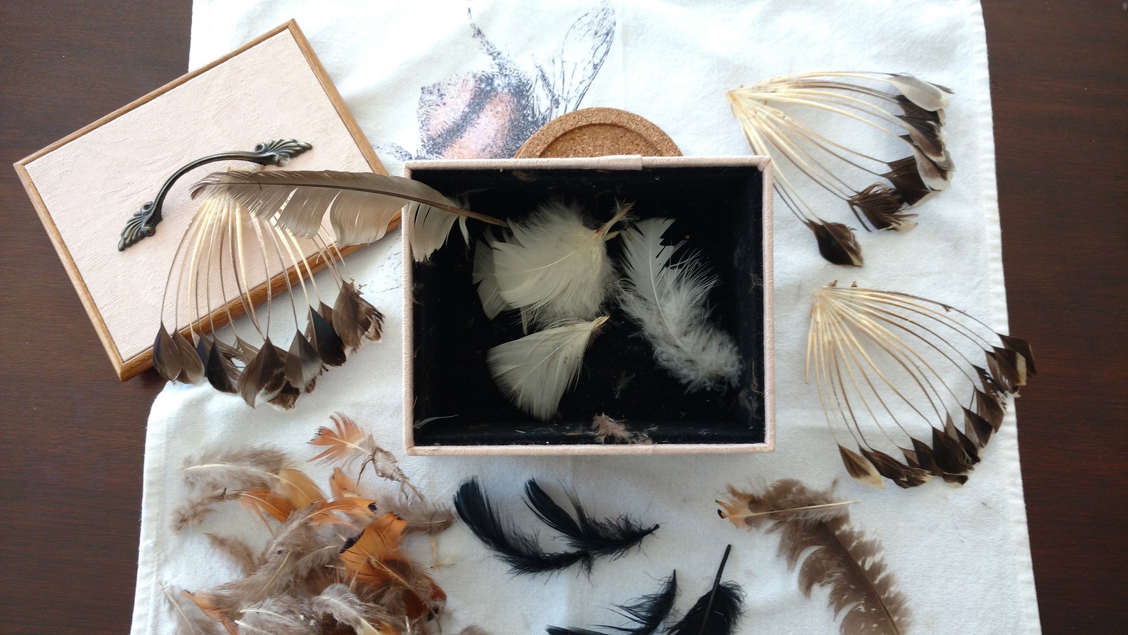Feathers in a Wooden Box | Etsy