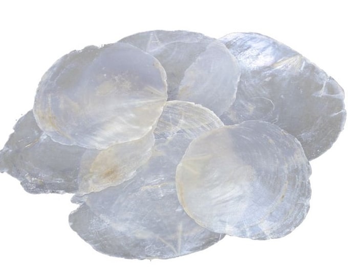 Multipack 1.5 Capiz Shell Round Flat Seashell Ocean Beach Nautical ...