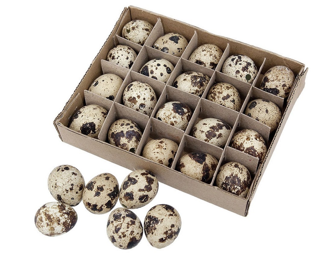 20 Stück Wachteleier ausgeblasen echte Eier Wachteln Ostereier Deko ...