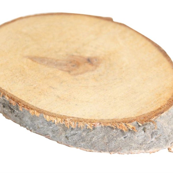 Tree Trunk Slices - Etsy